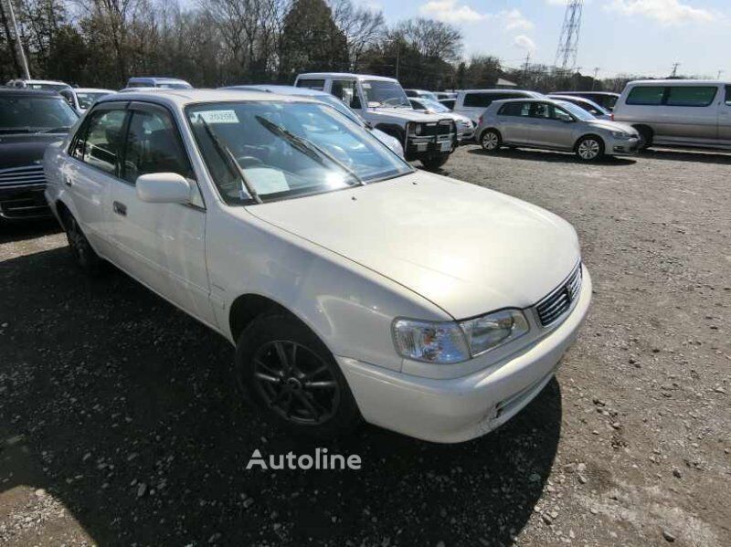 Toyota COROLLA SEDAN