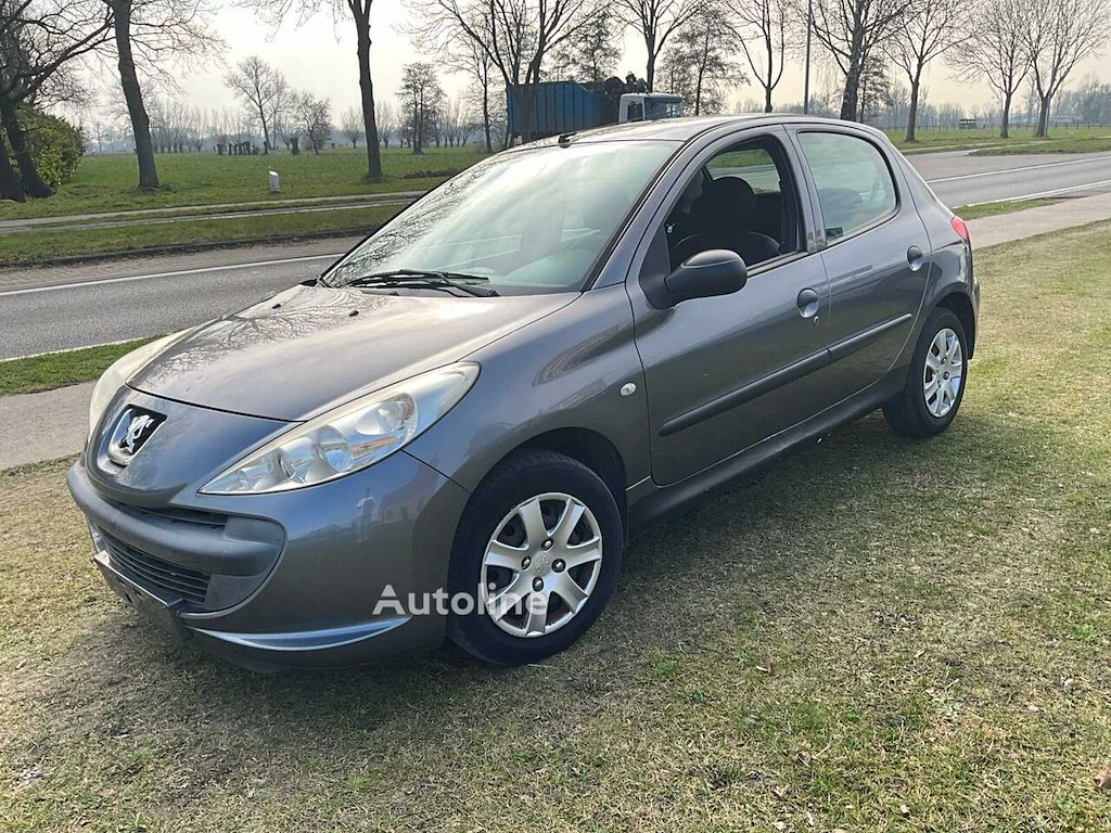 Prodaje se Peugeot 206+ hečbek na aukciji