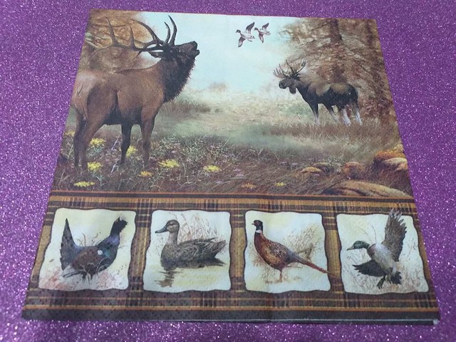 Salveta 33 x 33