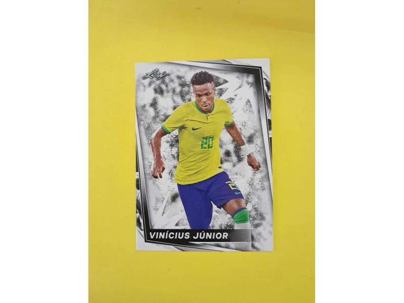 Vinicius JR LEAF SOCCER 2024