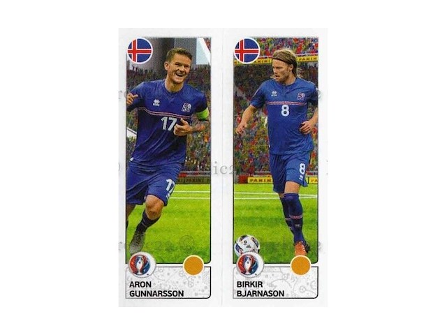 EURO 2016 sličica broj 607 , Panini