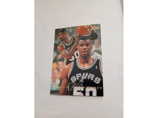 Kartica nba flair 1995/96 david robinson br.124