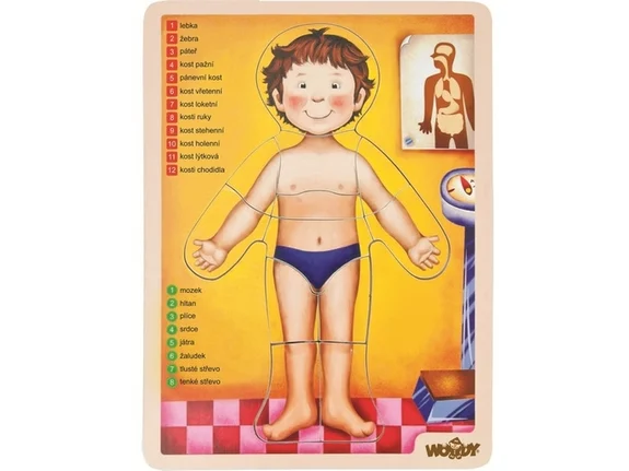 Woody Puzzle Human body 90324