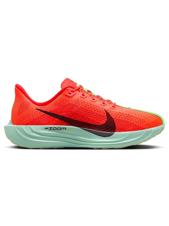 NIKE PEGASUS PLUS Shoes
23228 RSD