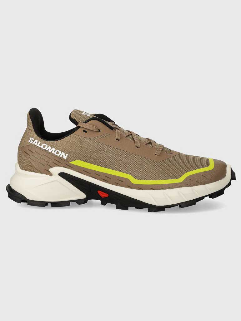 SALOMON ALPHACROSS 5 Shoes
12972 RSD