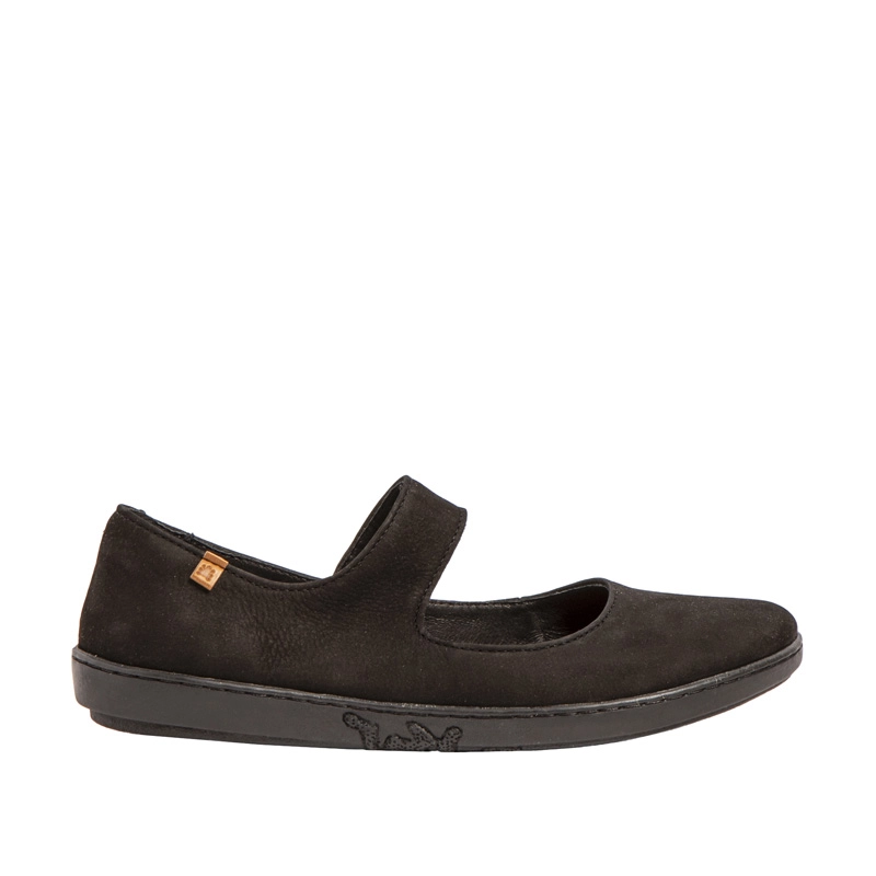 Coral N5301