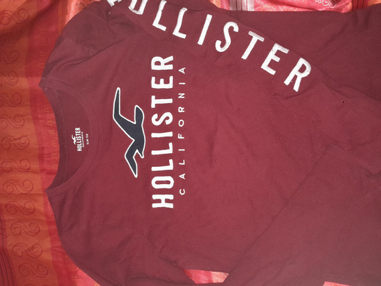 Hollister prolecni duks