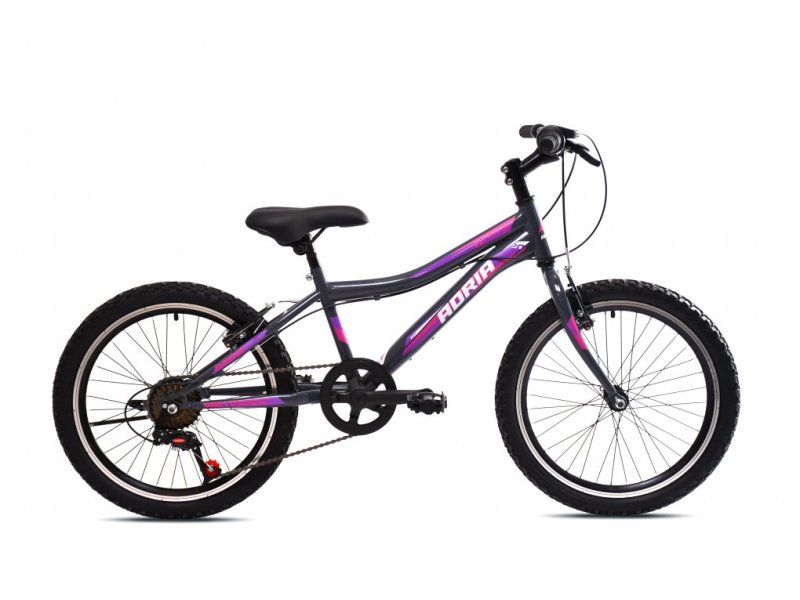 ADRIA STINGER 20” SIVO – LJUBIČASTO 925175-11