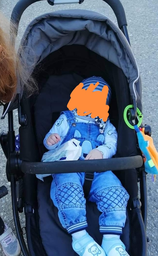 Graco Evo kolica 2u1