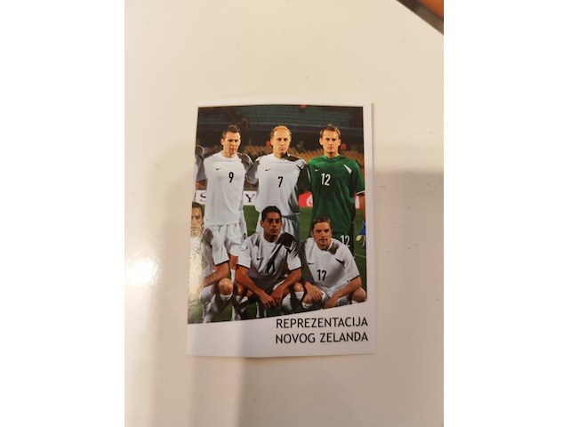Svetsko fudbalsko prvenstvo 2010 sličica broj 301