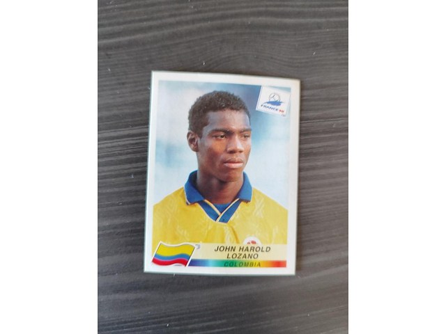 Panini FIFA 1998 France sličica broj 455