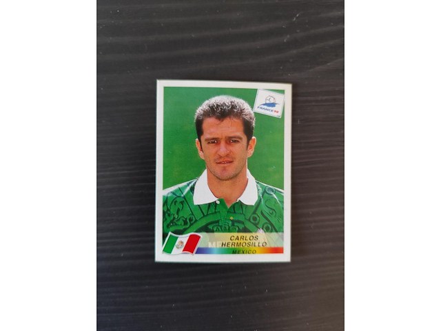 Panini FIFA 1998 France sličica broj 366