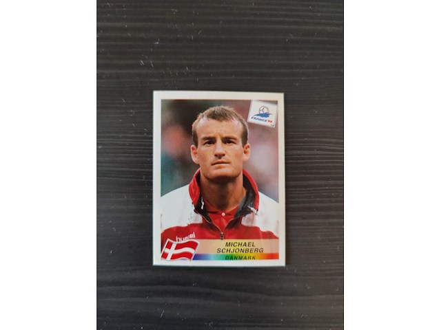 Panini FIFA 1998 France sličica broj 218