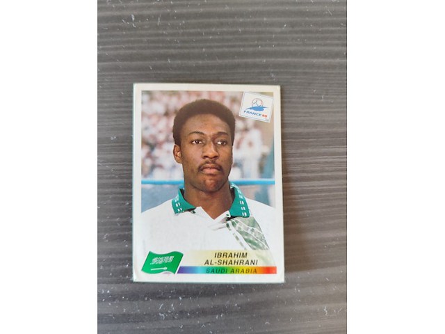Panini FIFA 1998 France sličica broj 205