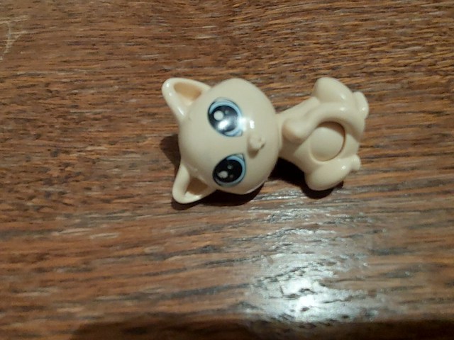 Kinder FS008