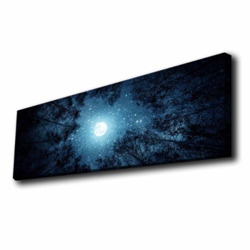 Slika sa LED svetlom Mesec 30x90 cm
