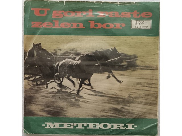 METEORI  -  U  GORI  RASTE  ZELEN  BOR