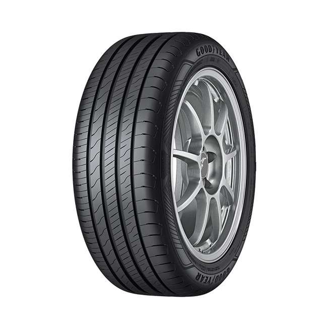 GOODYEAR 205/55 R19 EfficientGrip Performance 2 97V XL