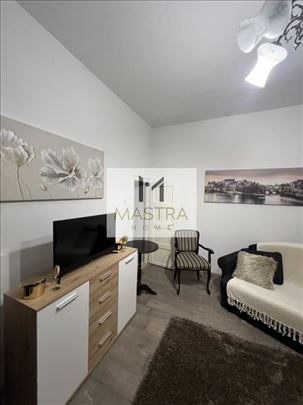 Pet-friendly, Slavija, Kneginje Zorke - 47m2 2.0