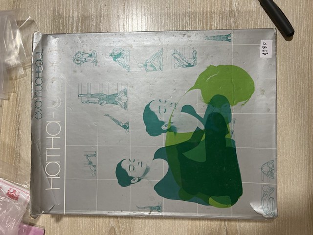 Hatha yoga/eva ruchpaul