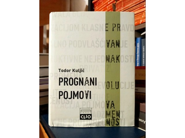 Todor Kuljić – Prognani pojmovi