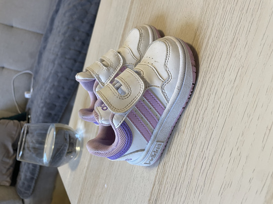 Ptikice Adidas