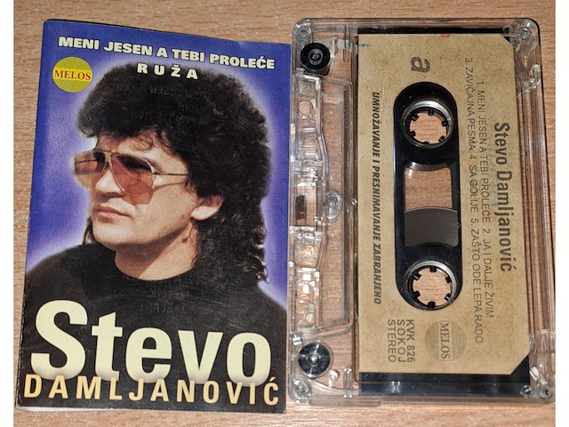 Stevo Damljanovic-Jesen meni a tebi prolece