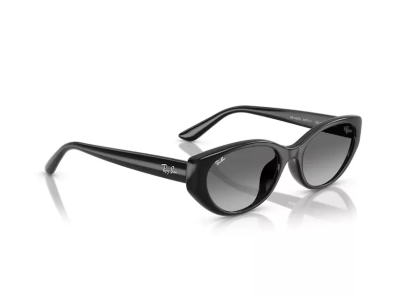 Ray-Ban Naočare za sunce RB 4457D 667711