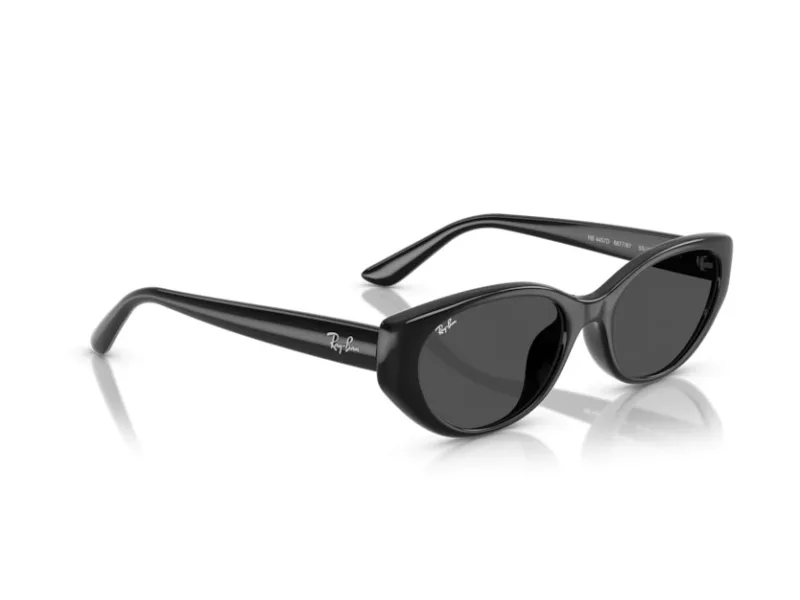 Ray-Ban Naočare za sunce RB 4457D 667787