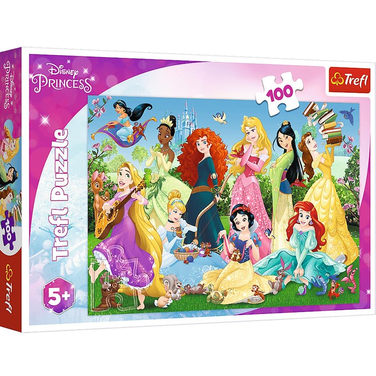 Trefl puzzla 100 pcs Charming Princesses 16417