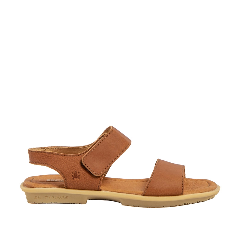 El Naturalista Makisu N5930
