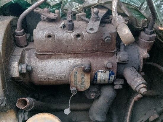 Lucas CAV 619 (BOMBA INYECTORA PARA MOTOR PERKINS) pumpa za gorivo za bagera