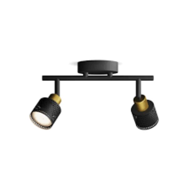PHILIPS Spot lampa Niall GU10 2x5W