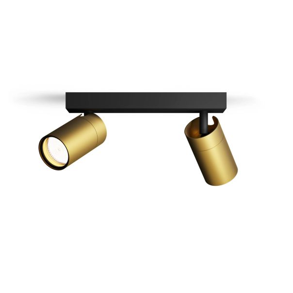 PHILIPS Spot lampa Idris GU10 2x5W IP44