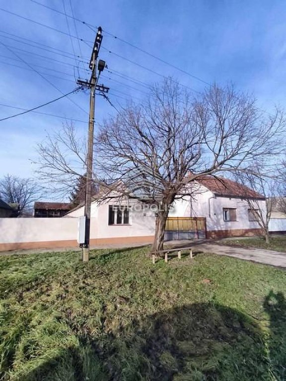 Save Čobanovića, Vojka, Stara Pazova ID#6851