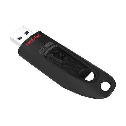 SANDISK USB flash memorija Cruzer Ultra 256GB SDCZ48-256G-A46
