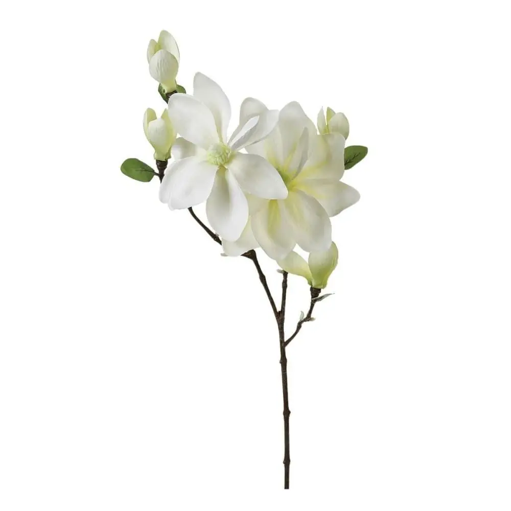 ATMOSPHERA Magnolia Stem 25x79 cm