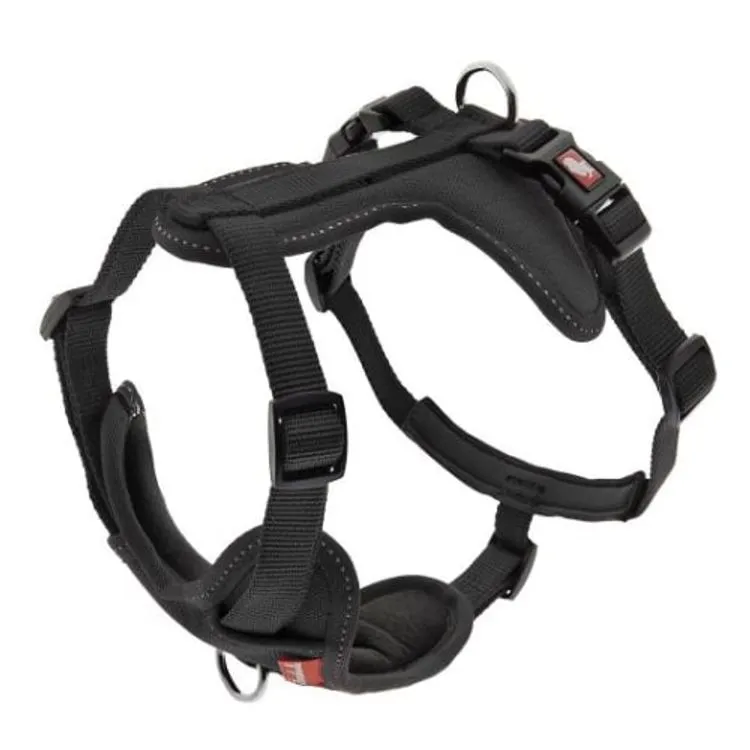 FERRIBIELLA Cesare M Am za pse Crna 2 cm, 40-62 cm