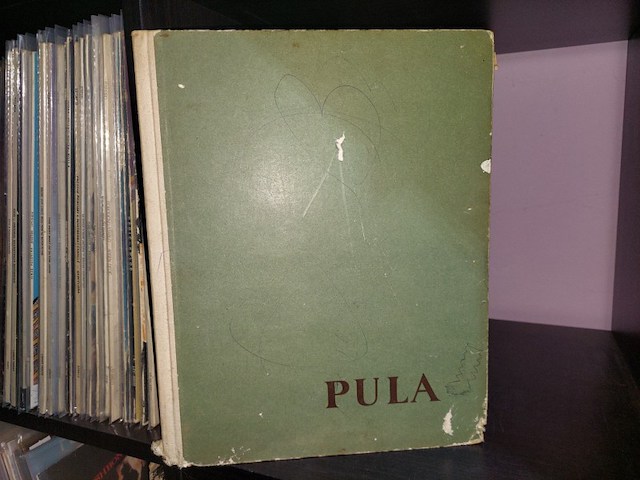 Pula monografija
