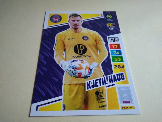 Adrenalyn XL Ligue1 - 2023/24 - Br.317