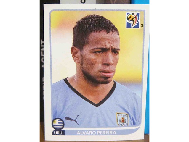 Fifa South Africa Panini sličica 80