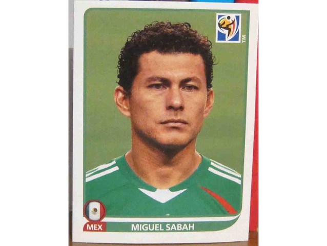 Fifa South Africa Panini sličica 67