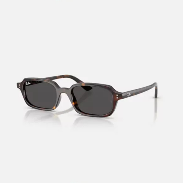 Ray Ban RB4455-135987 52
