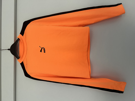 Puma bluza