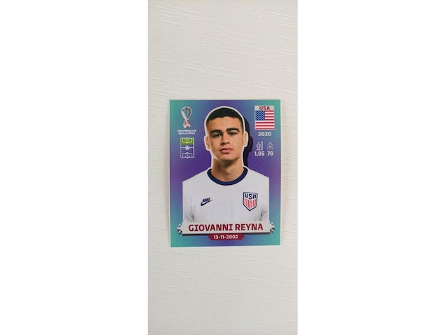 Panini FIFA 2022 international Qatar USA 19