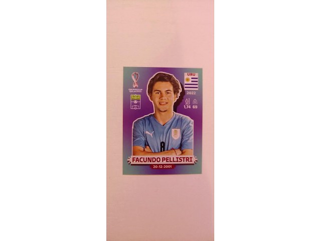 Panini FIFA 2022 international Qatar URU 19