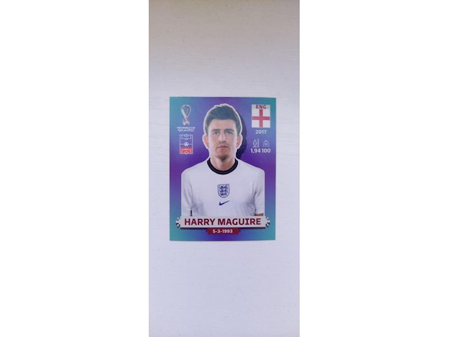 Panini FIFA 2022 international Qatar ENG 07