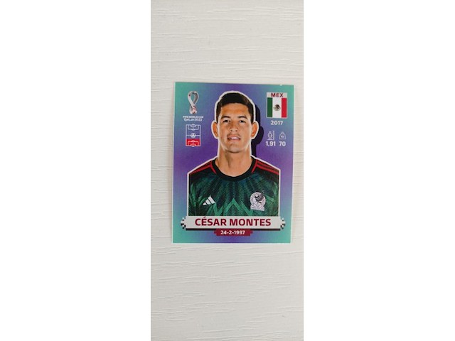 Panini FIFA 2022 international Qatar MEX 07