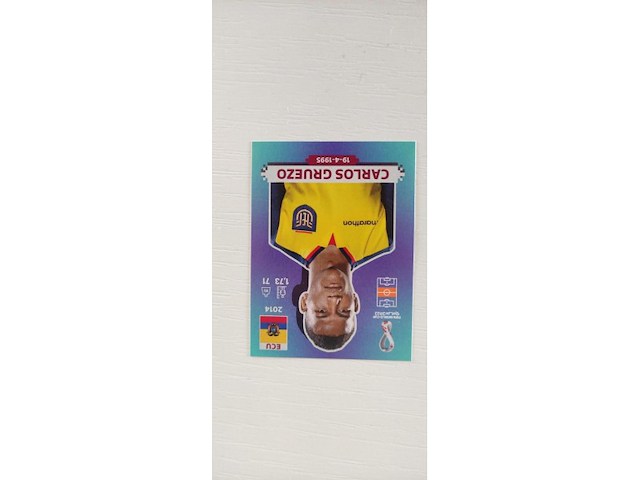 Panini FIFA 2022 international Qatar ECU 13