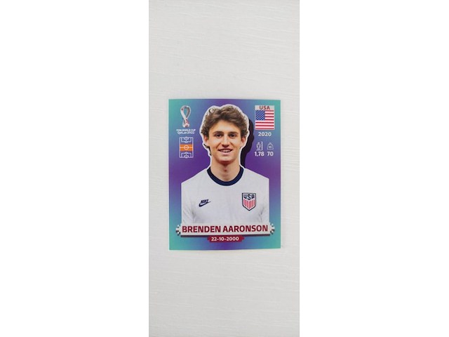 Panini FIFA 2022 international Qatar USA 11